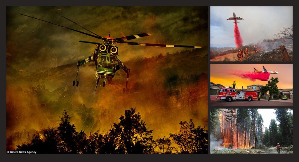 CAL FIRE - Geocon, Inc.