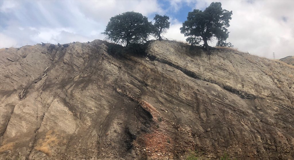 Tesla Mine - Geocon, Inc.