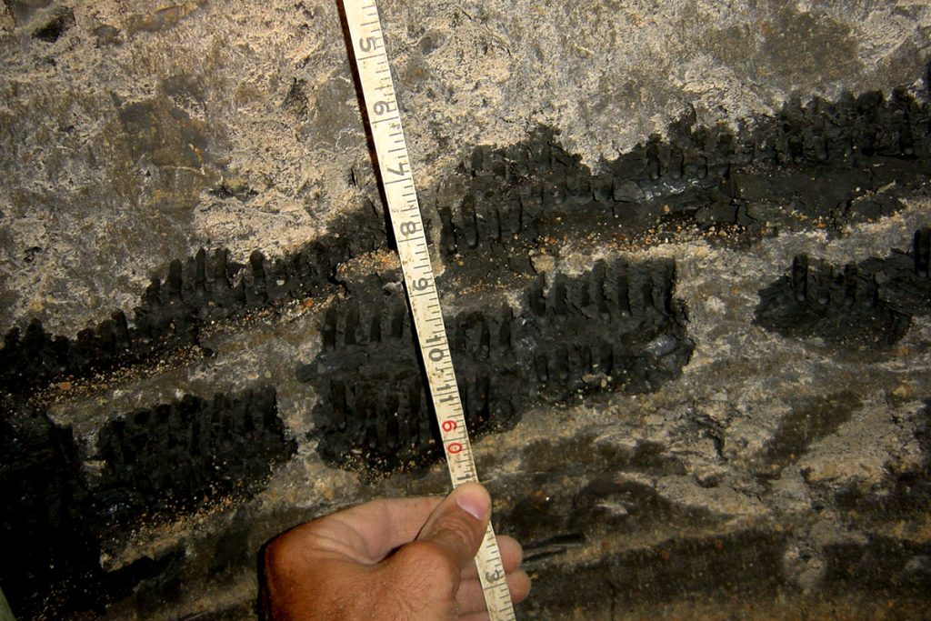 Engineering Geology - Geocon, Inc.